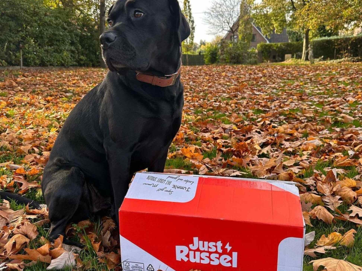 Dog & cat food - Just Russel