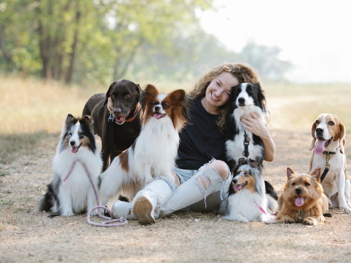 9 leuke weetjes over honden voor echte kenners - Just Russel